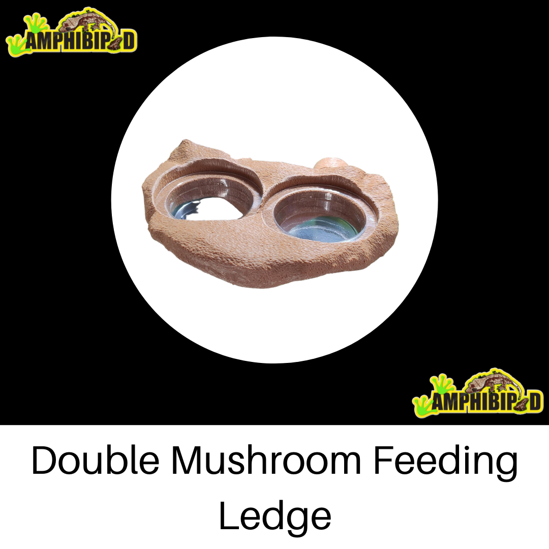 Double Mushroom Feeding ledge :: Amphibipod